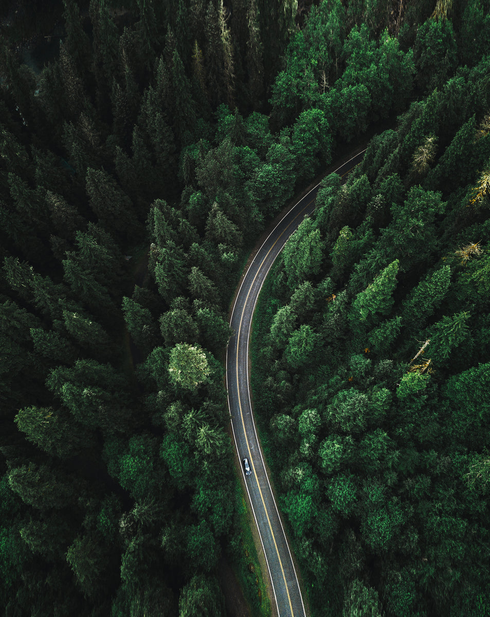 NATURAL FIBERS - BETTER BUILDING MATERIALS – Go Green Home Supply